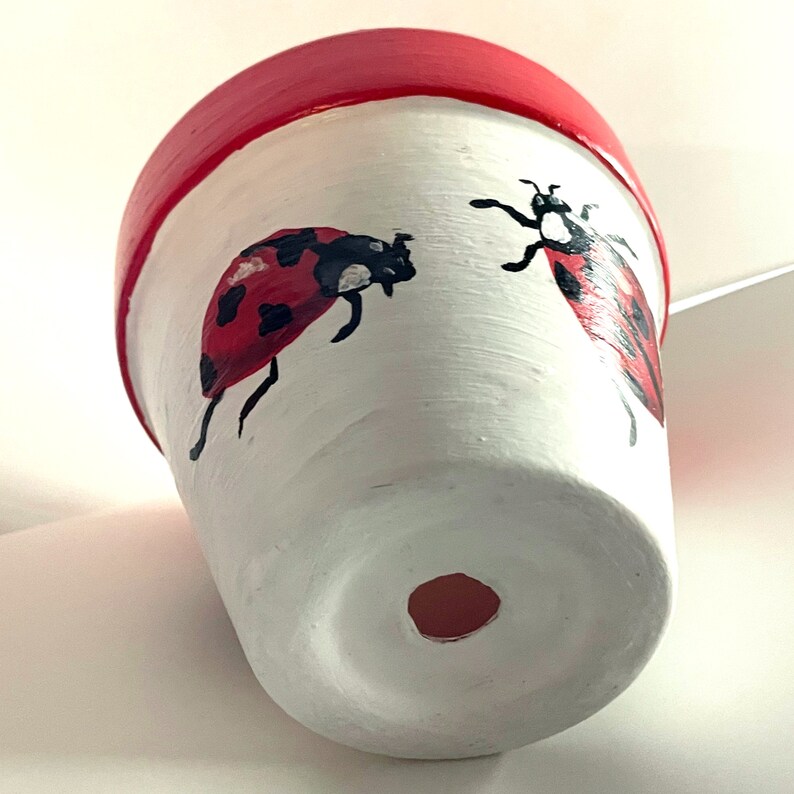Hand Painted Ladybug Planter Flower Pot 4 Inch Sealed Handmade Gifts - Etsy
