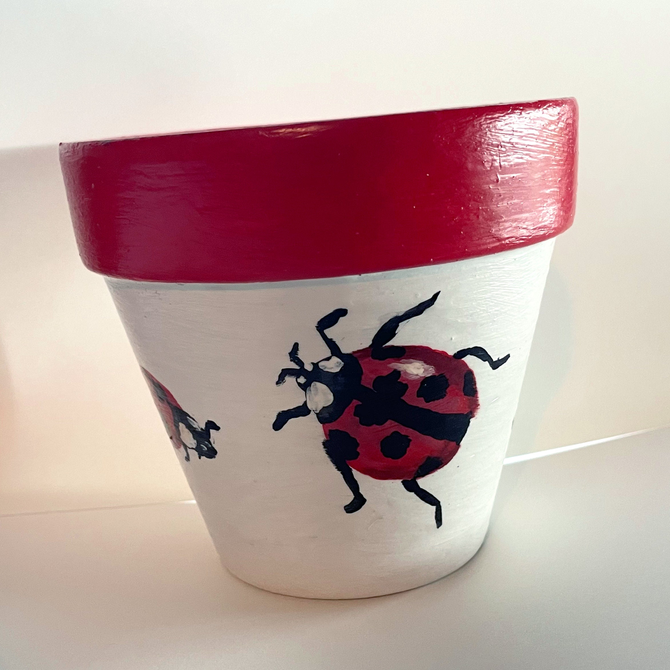 Hand Painted Ladybug Planter Flower Pot 4 Inch Sealed Handmade Gifts - Etsy