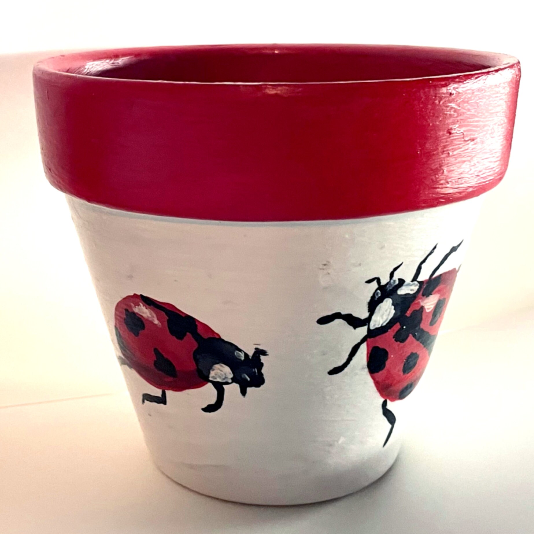 Hand Painted Ladybug Planter Flower Pot 4 Inch Sealed Handmade Gifts - Etsy