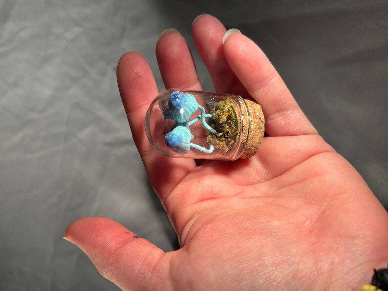 Hand Crafted Miniature Mushroom Art Inside a Small Glass Cloche Bell ...