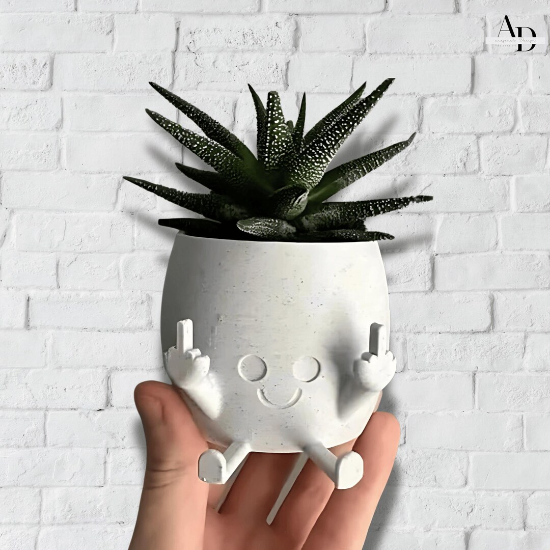Funny Middle Finger Planter, Cute Succulent Pot With Attitude | Unique ...