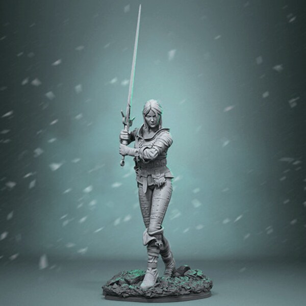 The Witcher 3d Model - Etsy