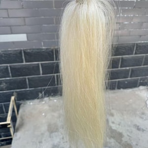 Natural White Horse Tail, Fly Whisk Duster,wood Handle Horsetail, Whisk ...