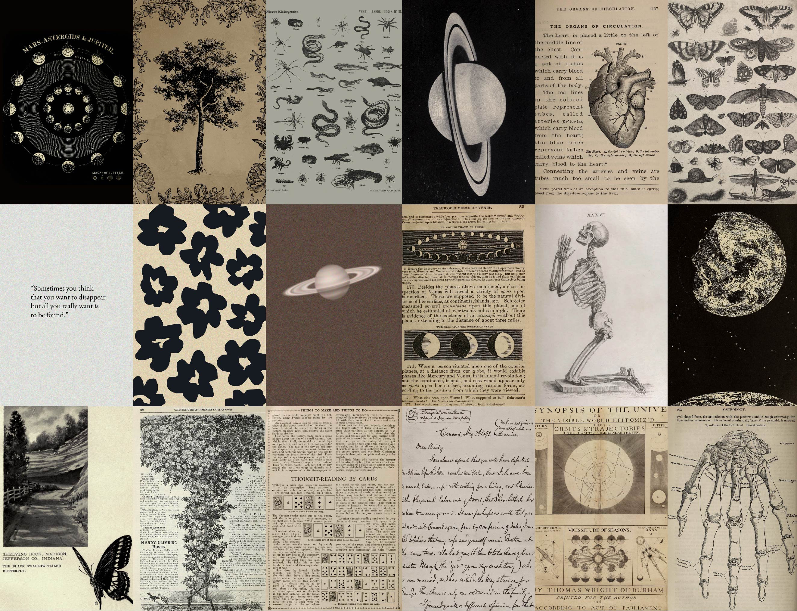 84 PCS Grunge Poster Vintage Wall Collage Kit Fairycore Goth Photo Kit ...