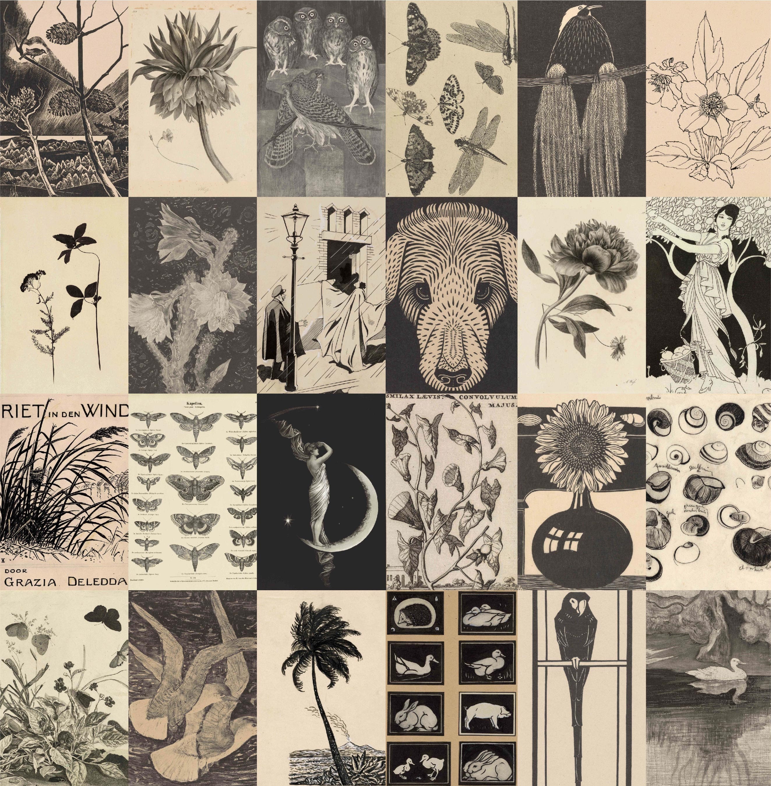 Vintage Dark Cottagecore Wall Collage Kit Grunge Aesthetic Old Photo ...