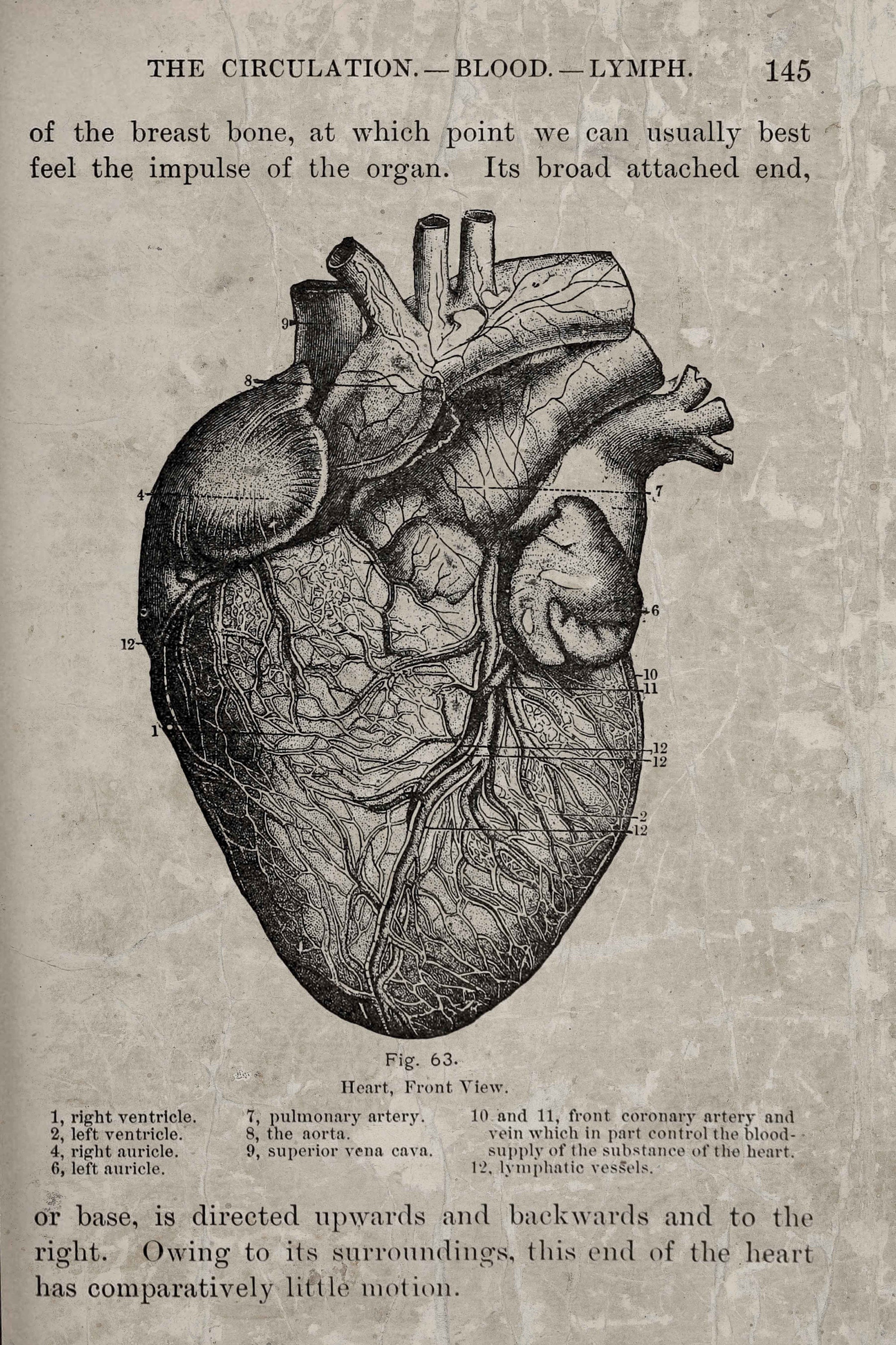 Moody Illustration Wall Collage Set, Goth Grunge Drawing Photo Collage ...