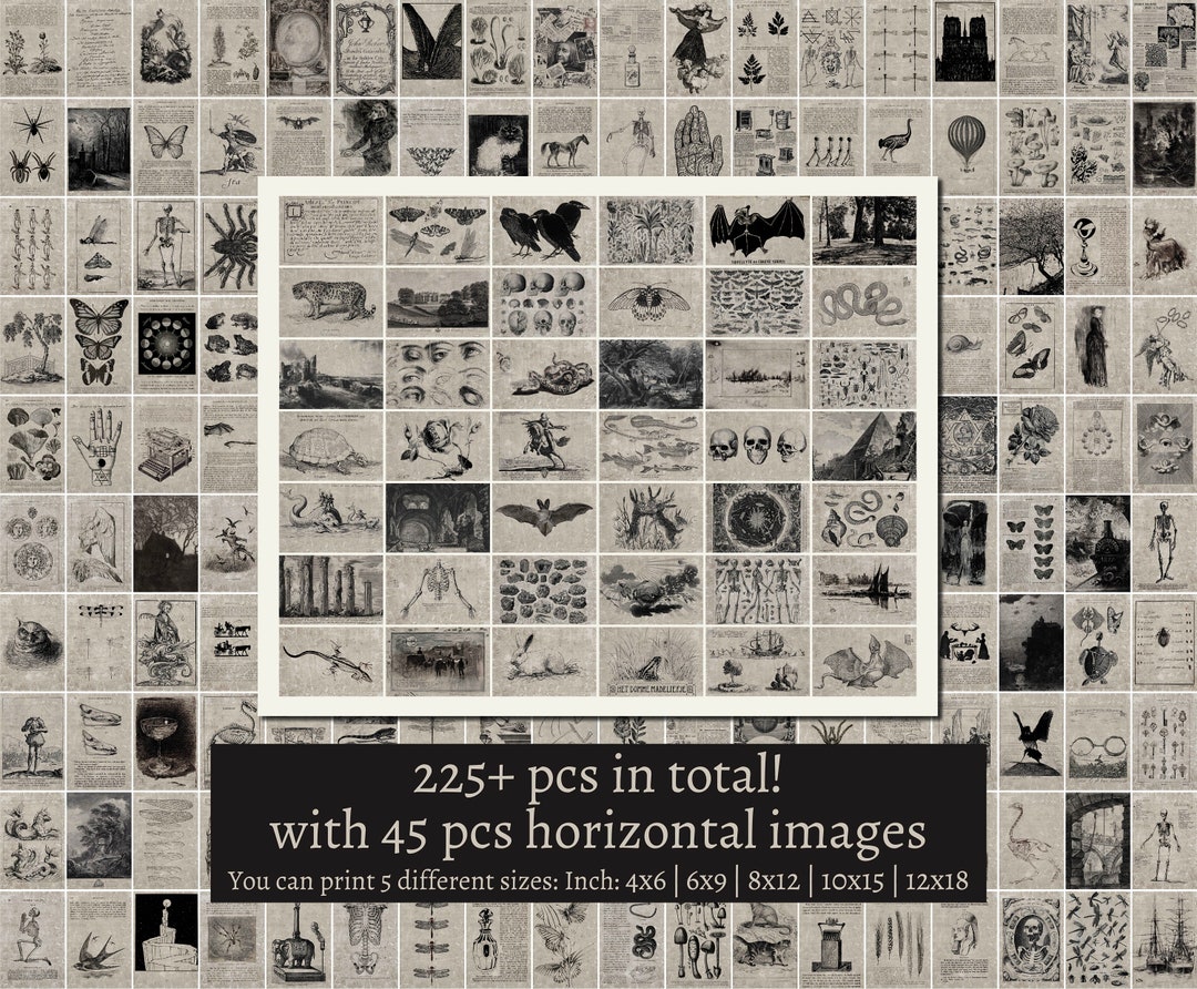 Moody Illustration Wall Collage Set, Goth Grunge Drawing Photo Collage ...