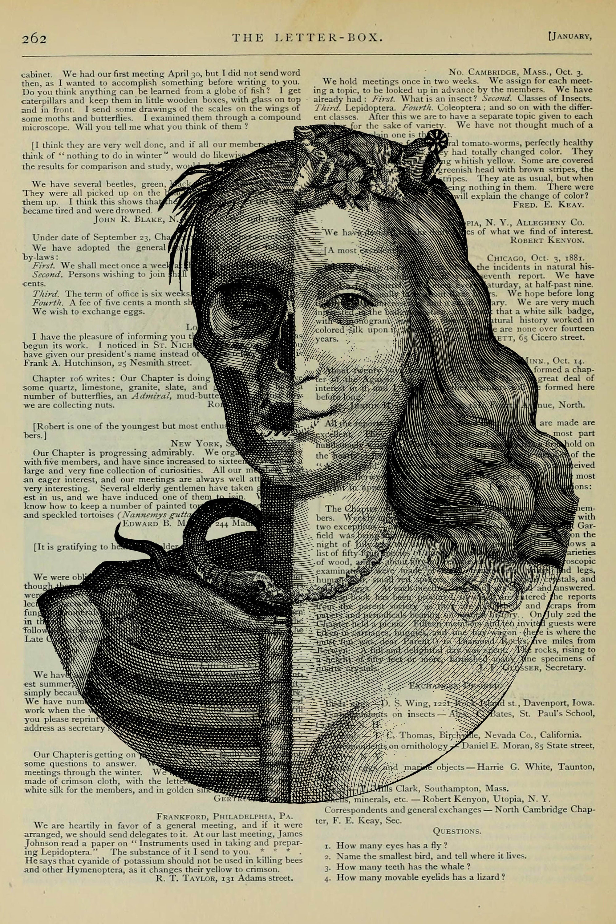 84 PCS Grunge Poster Vintage Wall Collage Kit Fairycore Goth Photo Kit ...