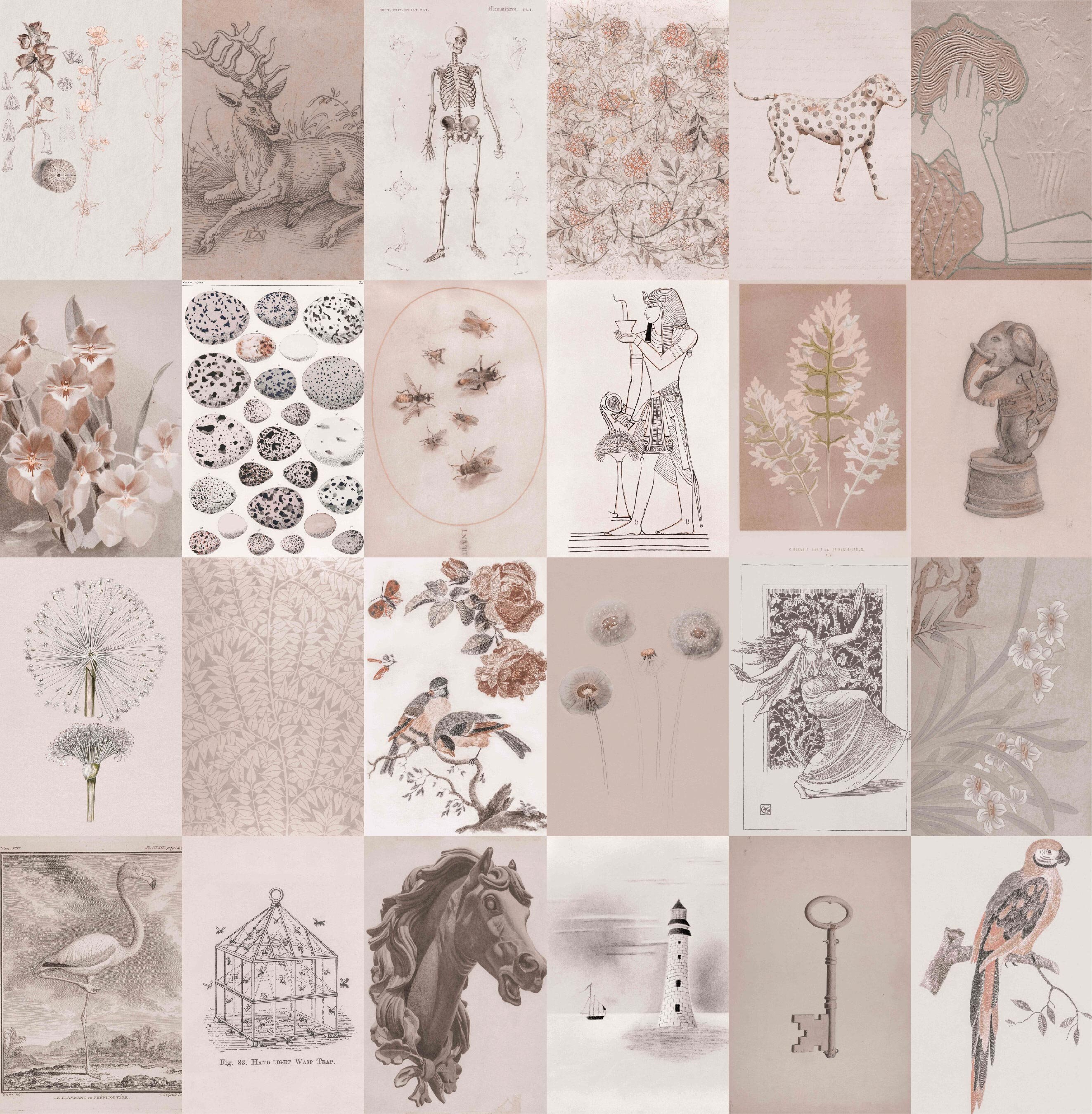 Neutral Wall Collage Posters, Classy Pastel Collage, 84 Pieces Vintage ...