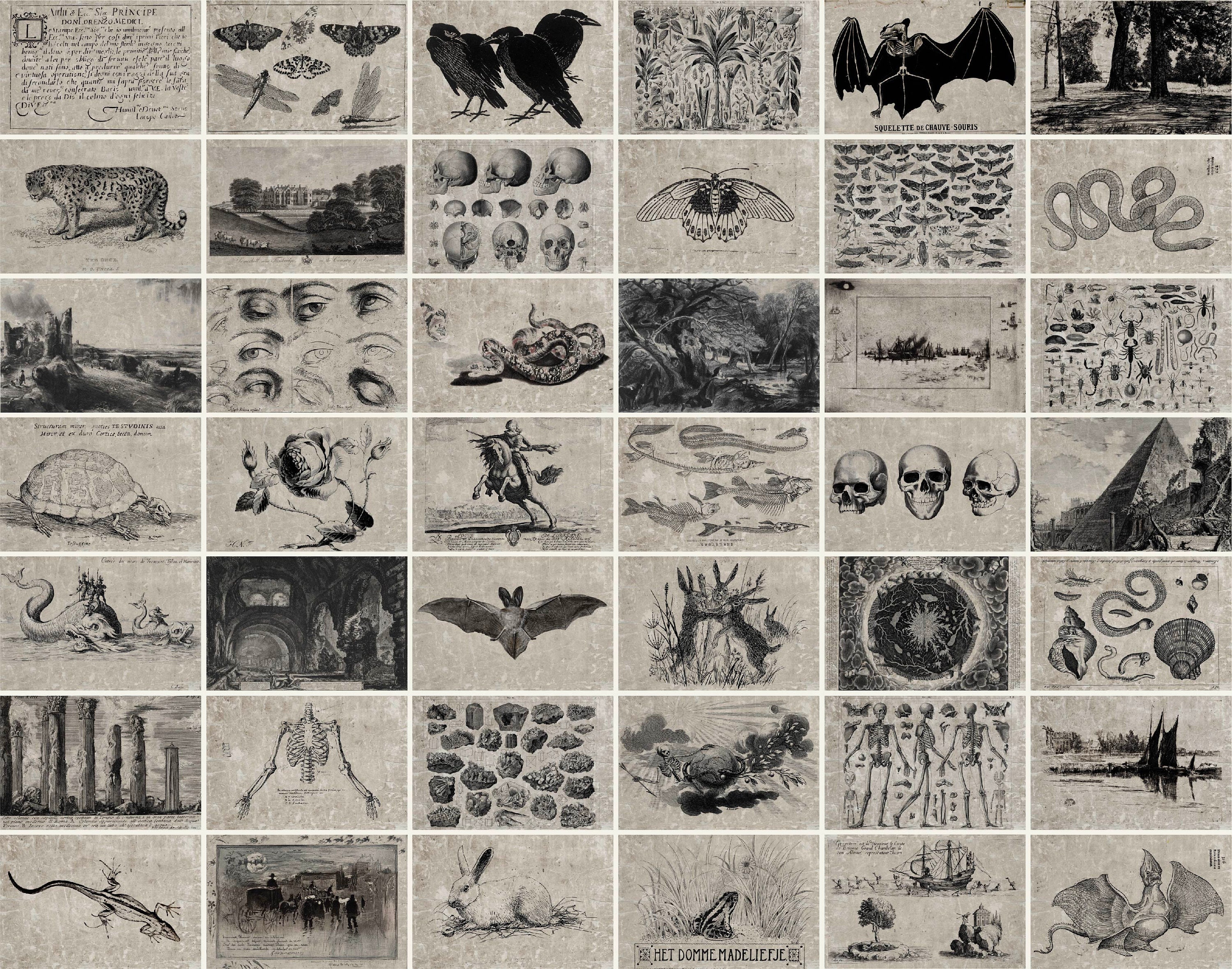 Moody Illustration Wall Collage Set, Goth Grunge Drawing Photo Collage ...