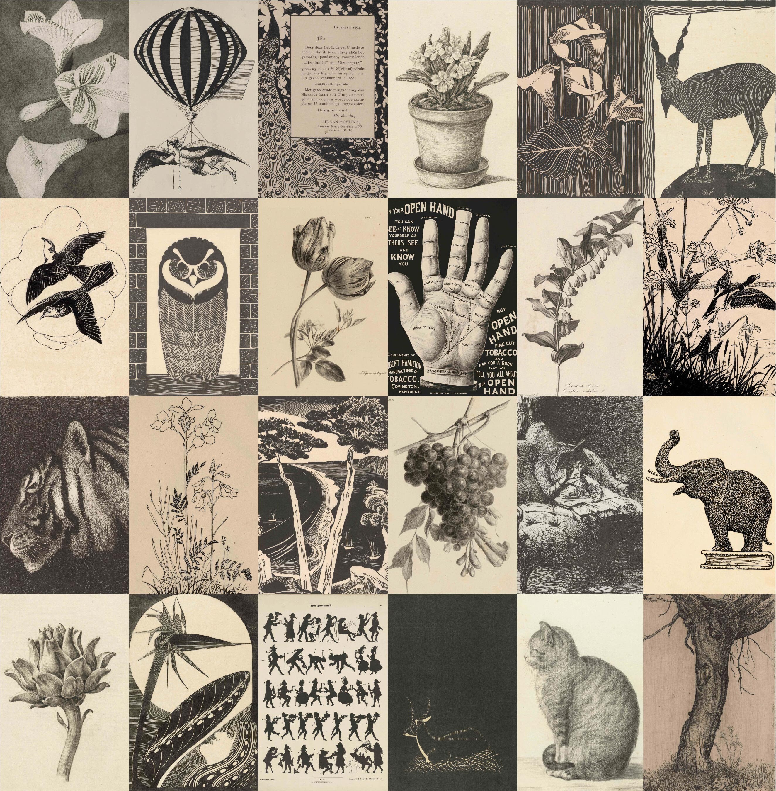 Vintage Dark Cottagecore Wall Collage Kit Grunge Aesthetic Old Photo ...