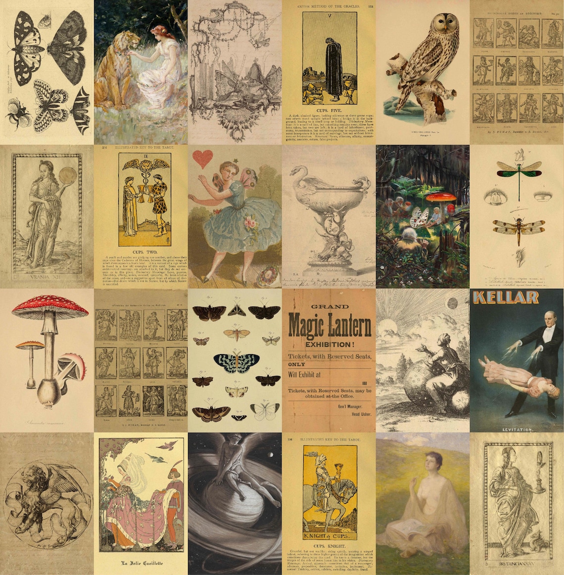 Vintage Fairycore Magic Wall Collage Kit: Witchy Tarot Decor (digital ...
