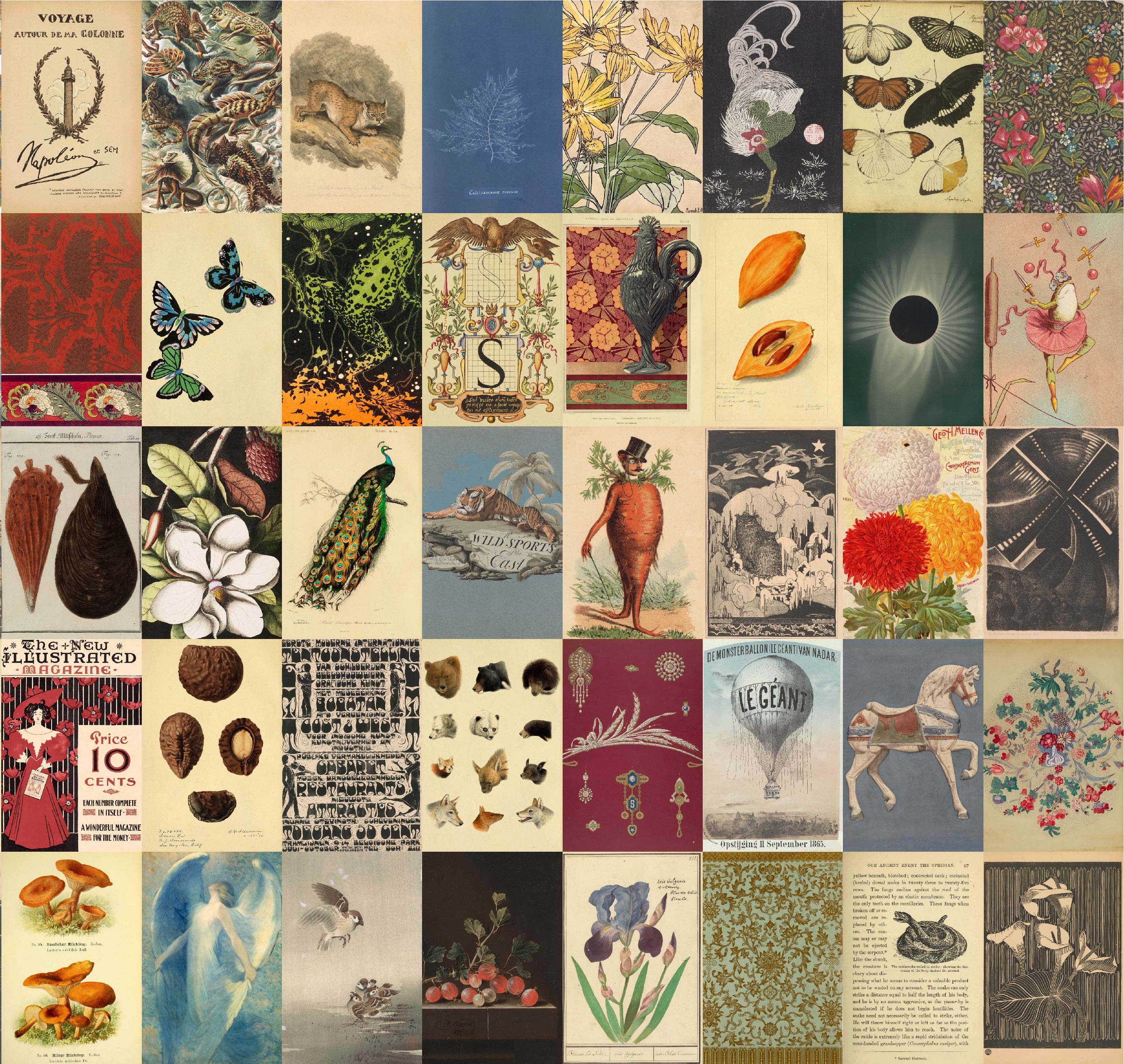 Old Style Aesthetic Wall Collage Kit, Cottagecore Photo Collage ...