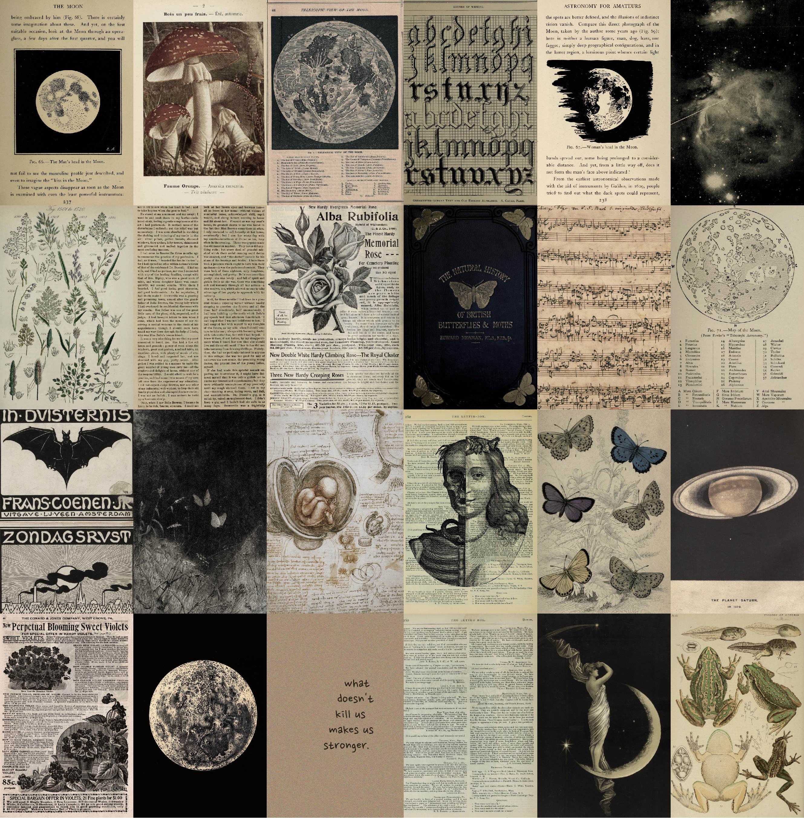 84 PCS Grunge Poster Vintage Wall Collage Kit Fairycore Goth Photo Kit ...