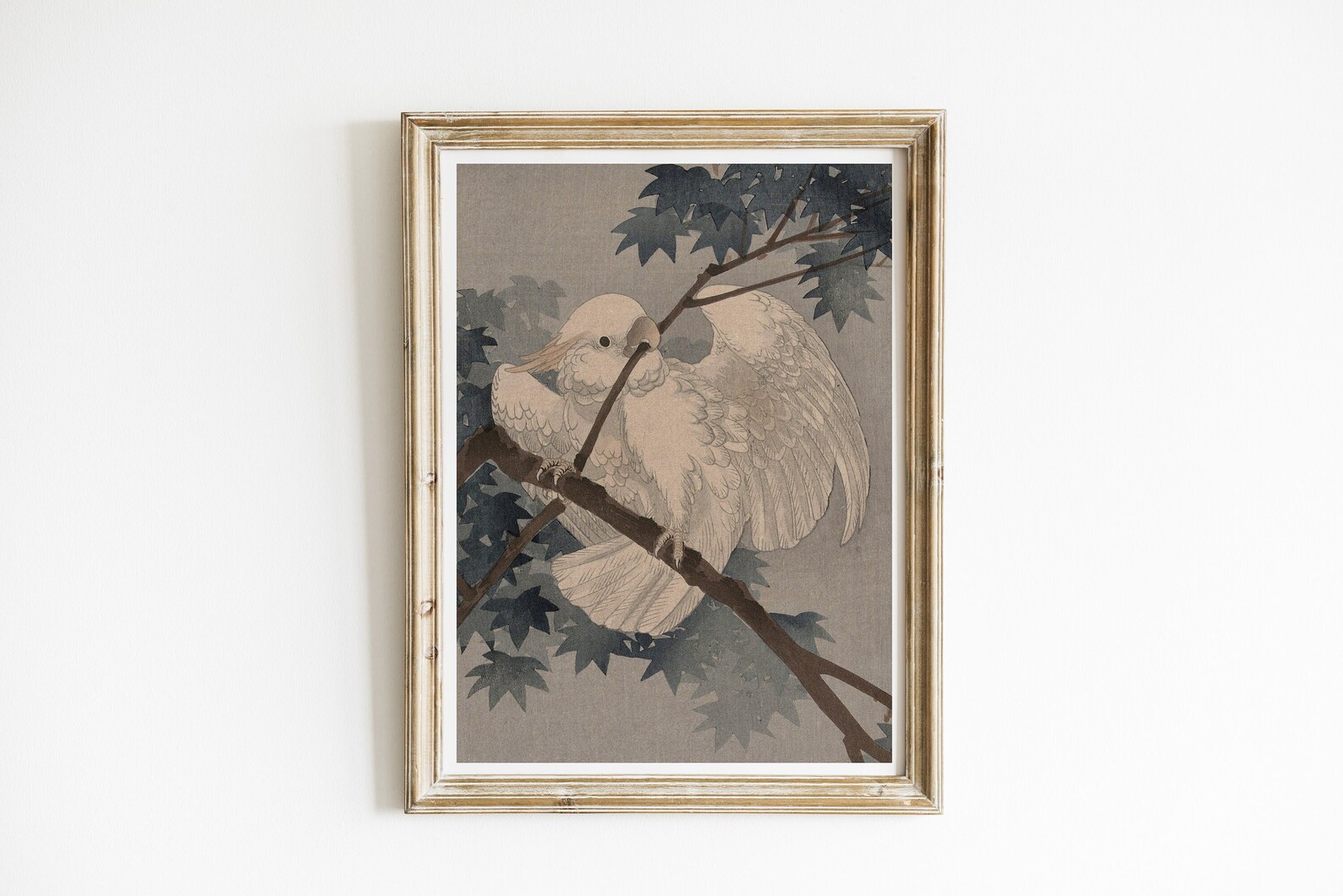 Ohara Koson Poster, Sulphur-crested Cockatoo in Tre, Japanese Art ...