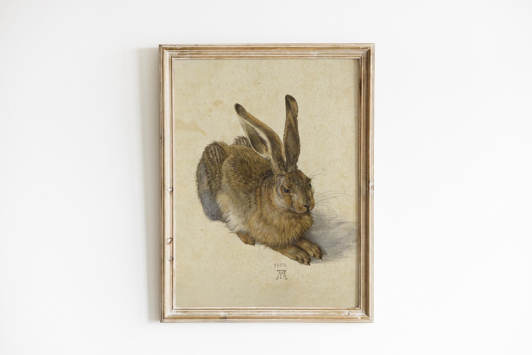 Young Hare by Albrecht Dürer Poster Reproduction – Classic Art Print - Etsy