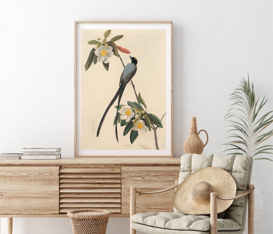 Fork-tailed Flycatcher Vintage Bird Poster by Audubon Wall Art Poster ...
