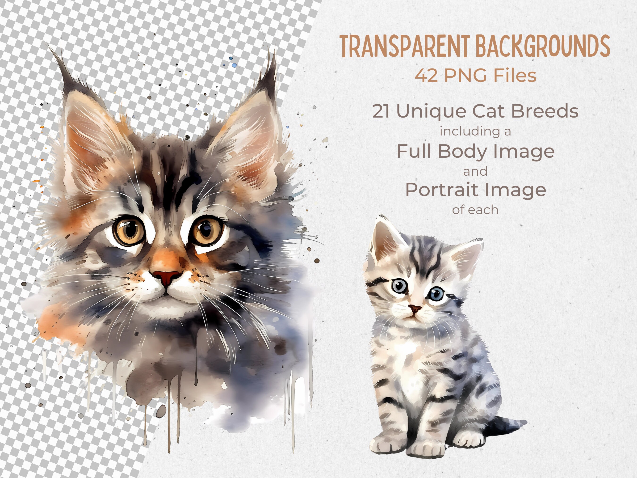 42 Watercolor Kitten Graphics Watercolor Cat Breed Clipart - Etsy