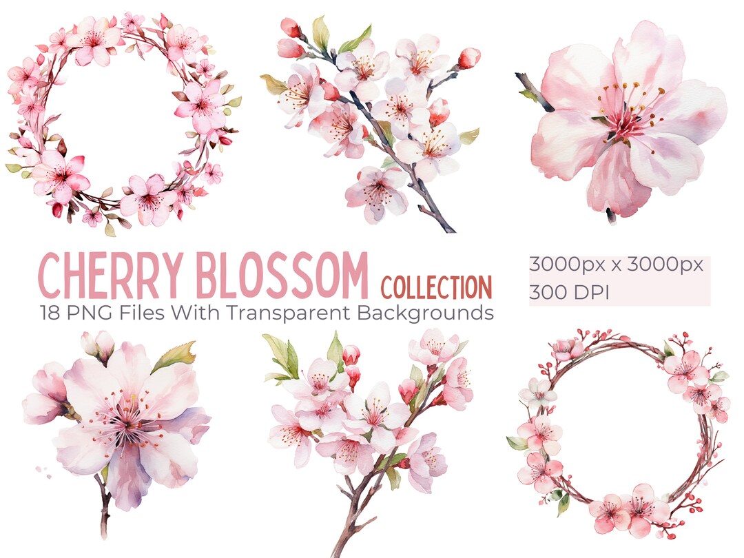 Watercolor Cherry Blossom Clipart Bundle, Spring and Summer Flowers ...