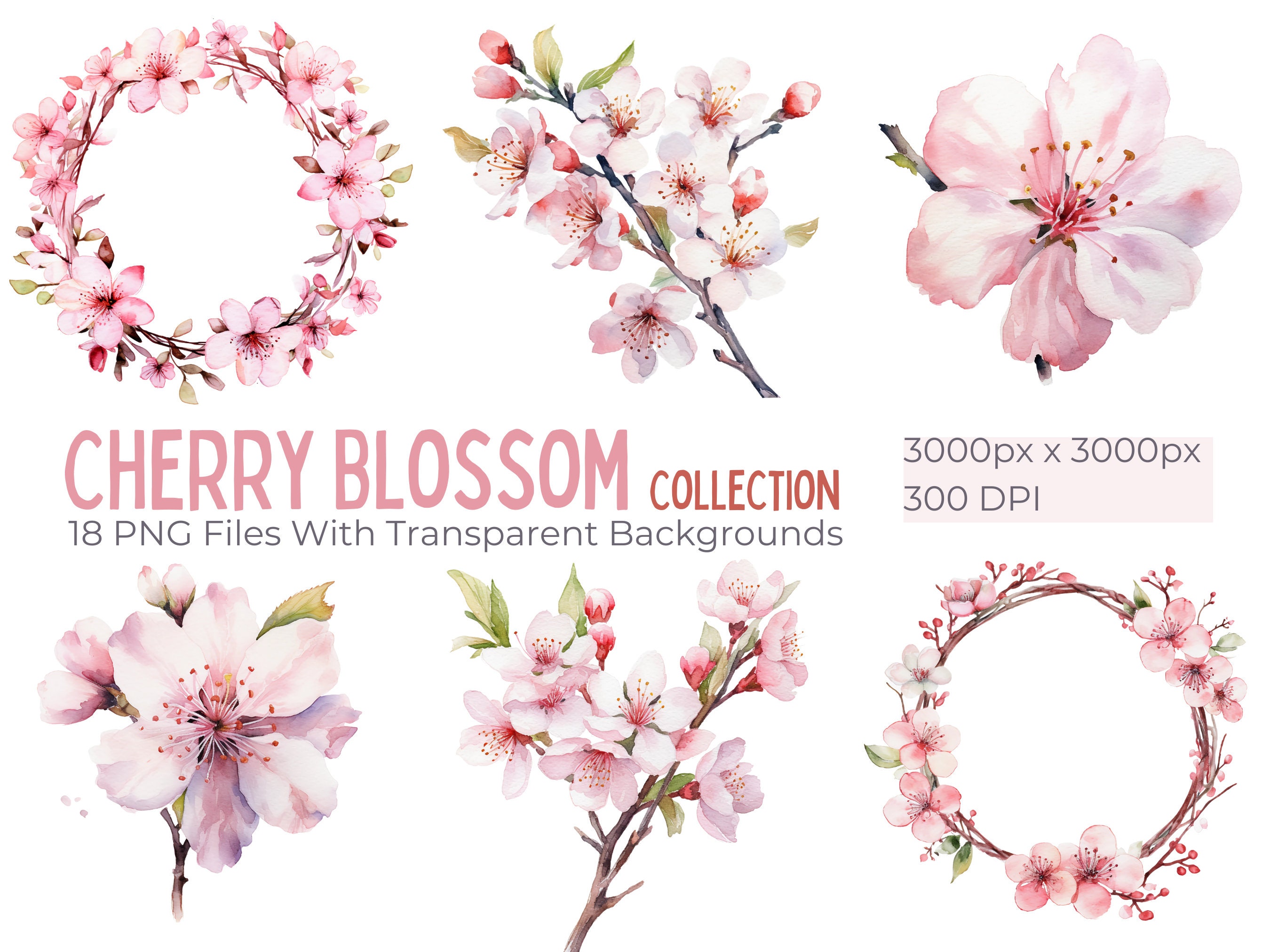 Watercolor Cherry Blossom Clipart Bundle, Spring and Summer Flowers ...