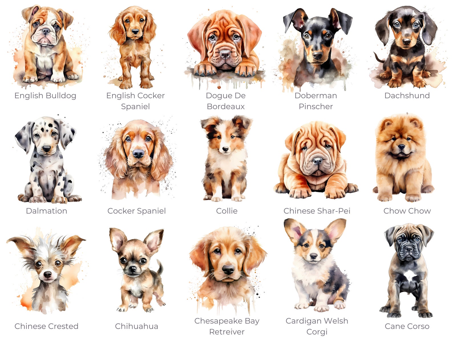 100 Watercolor Puppies Clipart, Dog Clipart, Puppies, Dog PNG Bundle ...