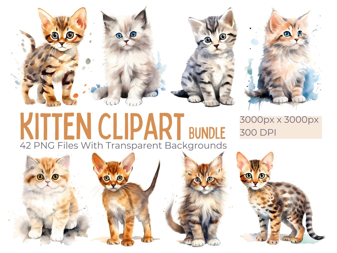 42 Watercolor Kitten Graphics, Watercolor Cat Breed Clipart Bundle ...