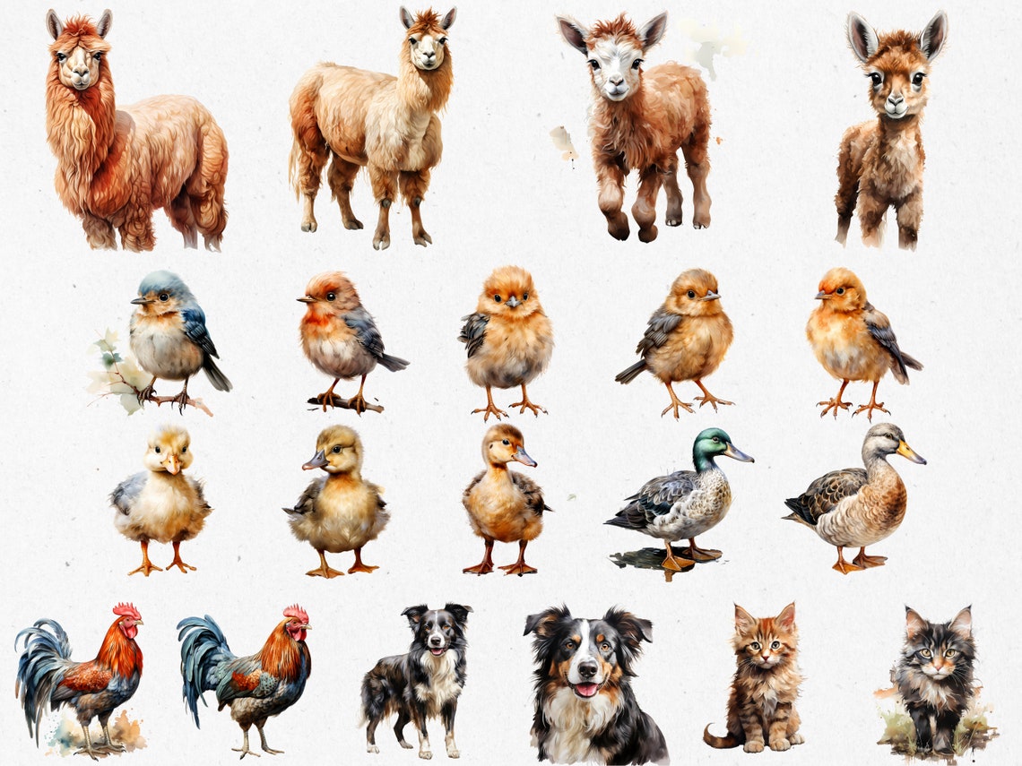 Watercolor Farm Clipart Farm Animals Clipart Bundle Cute - Etsy