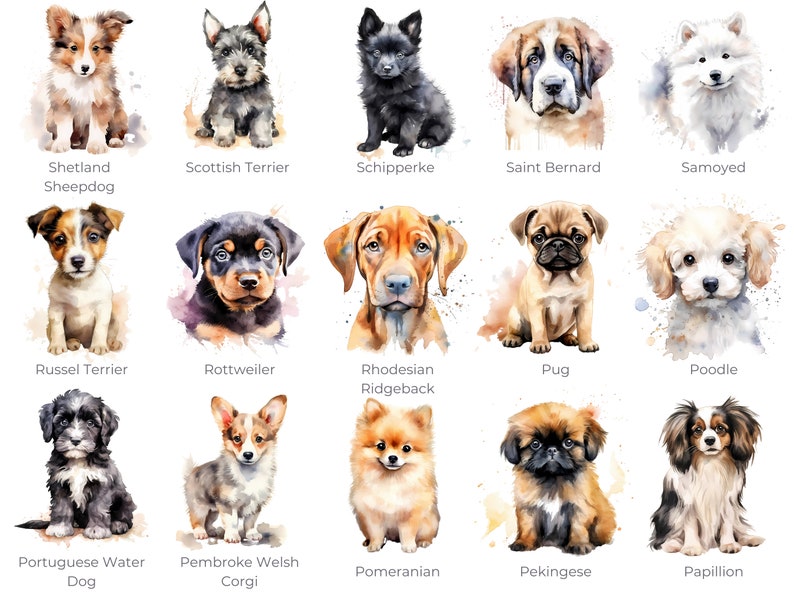 100 Watercolor Puppies Clipart Dog Clipart Puppies Dog PNG - Etsy