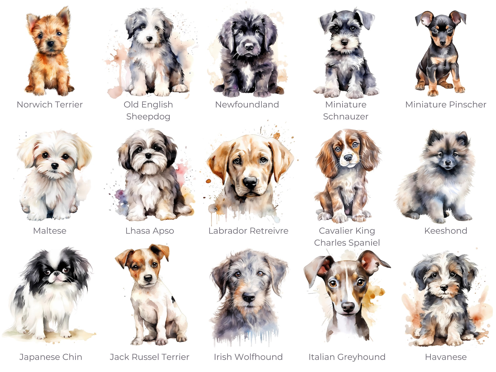 100 Watercolor Puppies Clipart, Dog Clipart, Puppies, Dog PNG Bundle ...