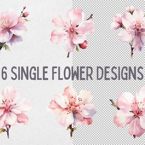 Watercolor Cherry Blossom Clipart Bundle, Spring and Summer Flowers ...