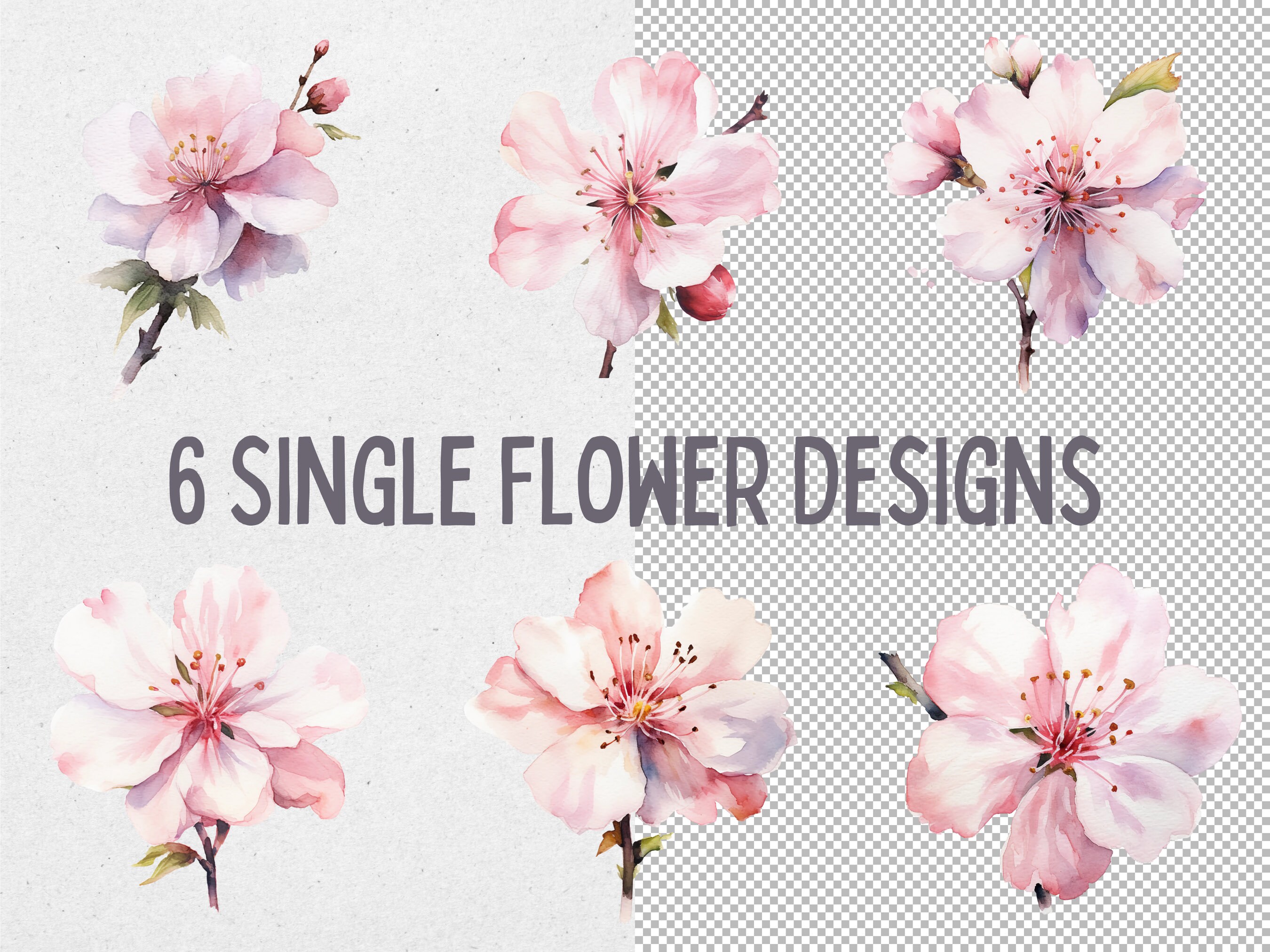 Watercolor Cherry Blossom Clipart Bundle Spring and Summer - Etsy