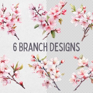 Watercolor Cherry Blossom Clipart Bundle, Spring and Summer Flowers ...