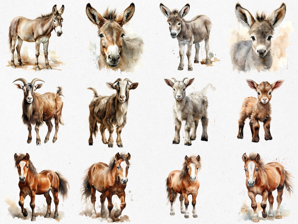 Watercolor Farm Clipart Farm Animals Clipart Bundle Cute - Etsy