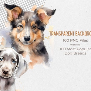 100 Watercolor Puppies Clipart, Dog Clipart, Puppies, Dog PNG Bundle ...