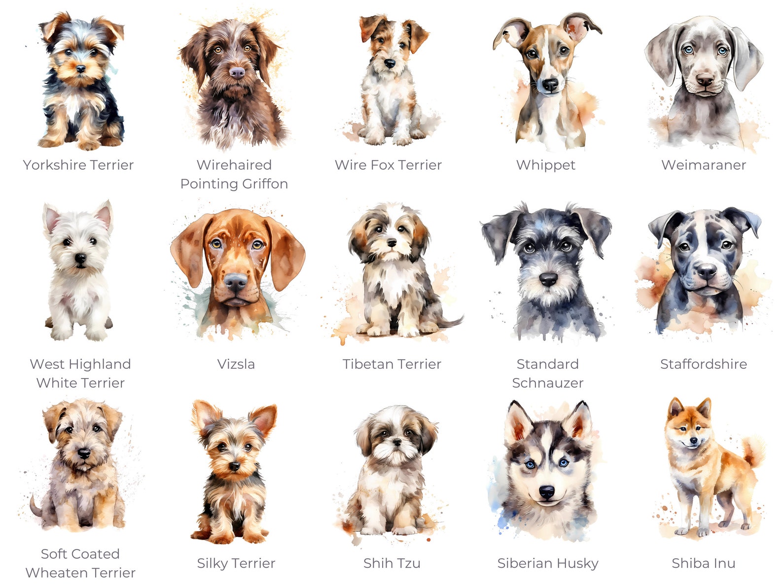 100 Watercolor Puppies Clipart, Dog Clipart, Puppies, Dog PNG Bundle ...