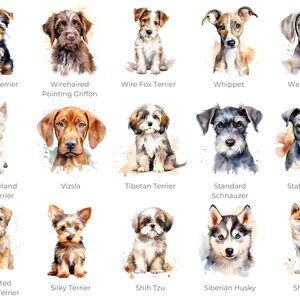 100 Watercolor Puppies Clipart, Dog Clipart, Puppies, Dog PNG Bundle ...
