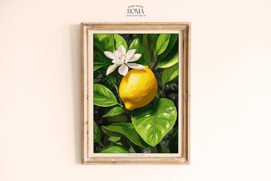 Vintage Lemon Poster . Vintage Lemon Art . Vintage Fruit Art . Gouach ...