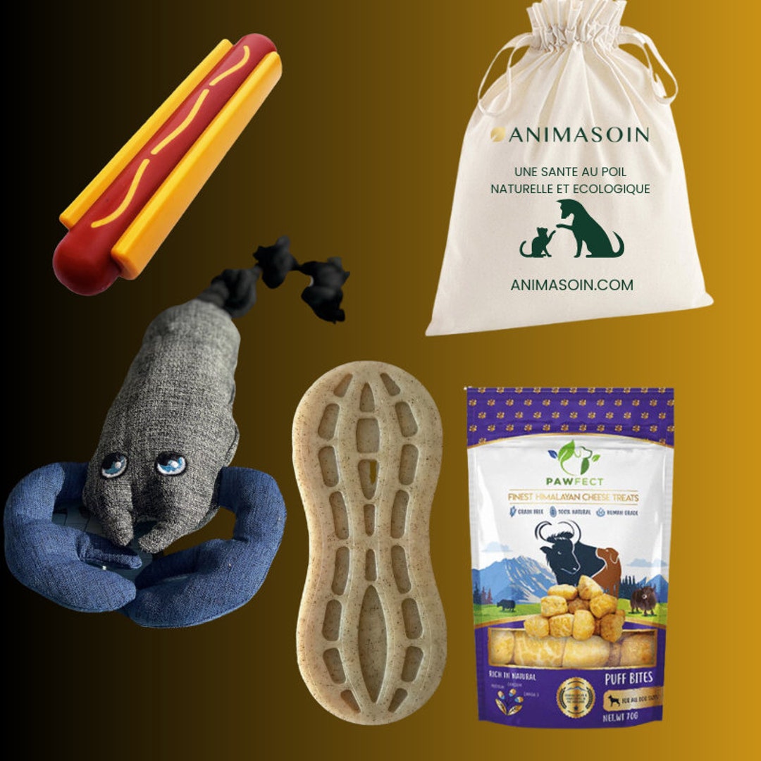 A Discovery Box for Puppies With Toys Such as Search Mats - Etsy