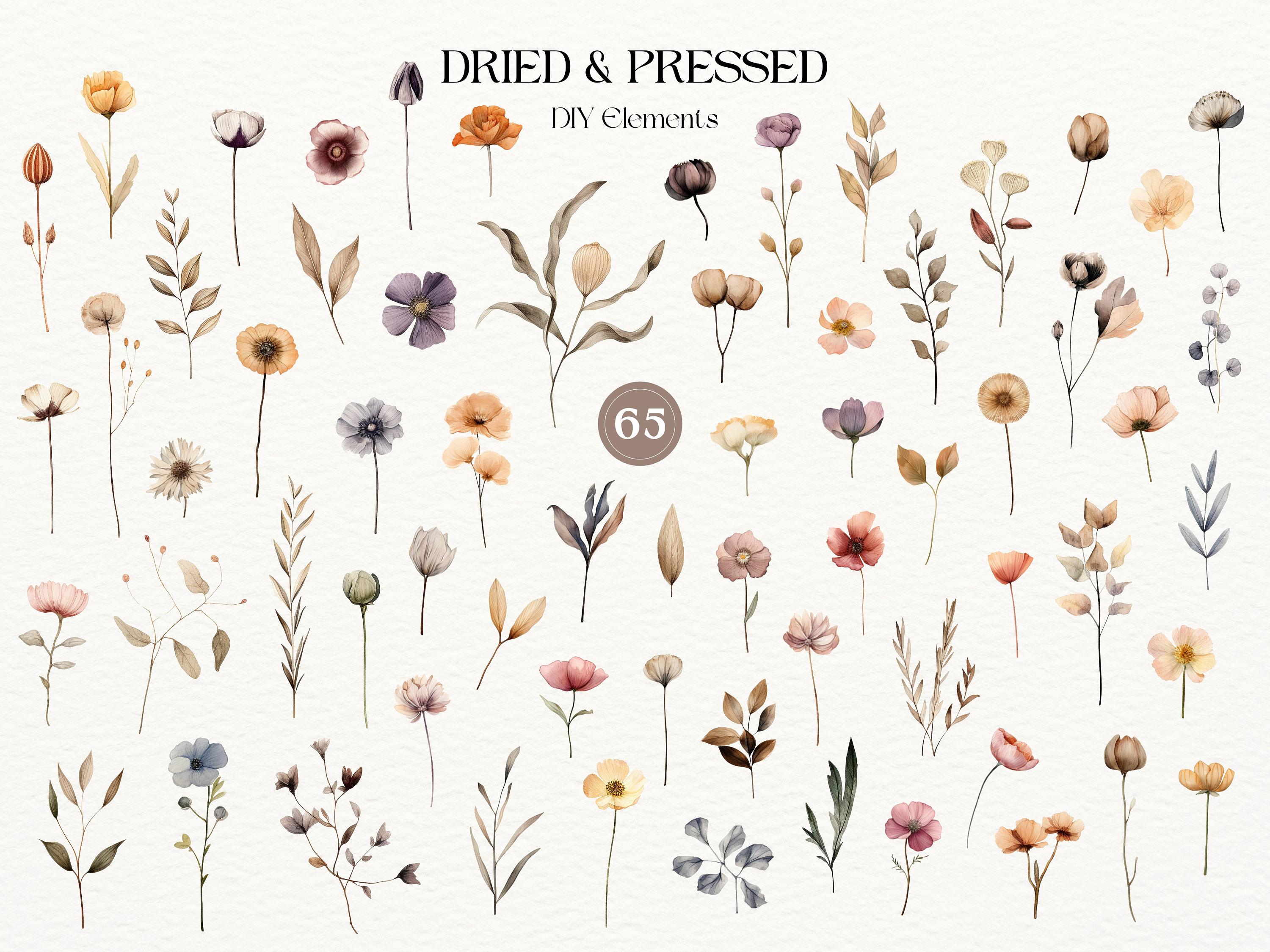 Boho Dried Flowers Watercolor Clipart Fall Bohemian Clipart Minimalist ...