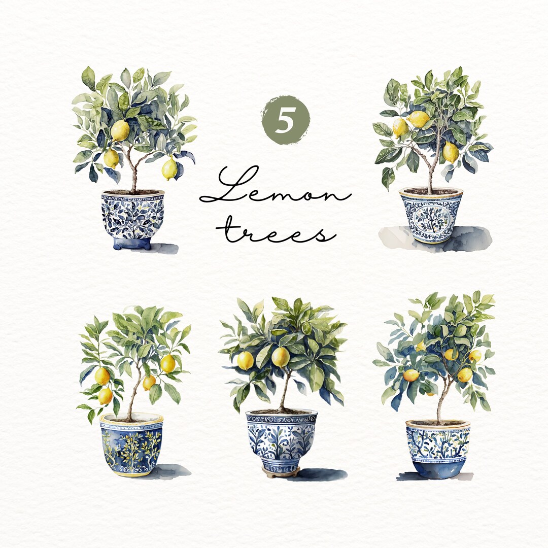 5 Watercolor Lemon Trees | Mediterranean Watercolor Clipart | Lemon ...