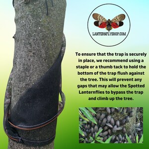 Spotted Lanternfly Trap Keep Your Garden Pest-free - Etsy