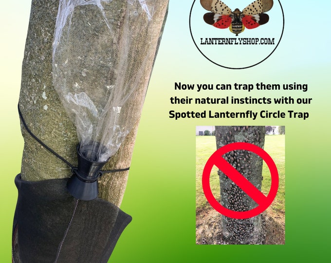 Spotted Lanternfly Trap - Keep Your Garden Pest-free - Etsy