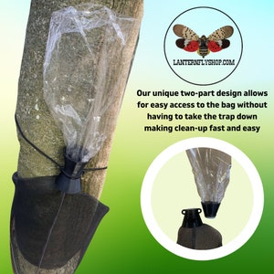 Spotted Lanternfly Trap Keep Your Garden Pest-free - Etsy