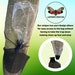 Spotted Lanternfly Trap Keep Your Garden Pest-free - Etsy