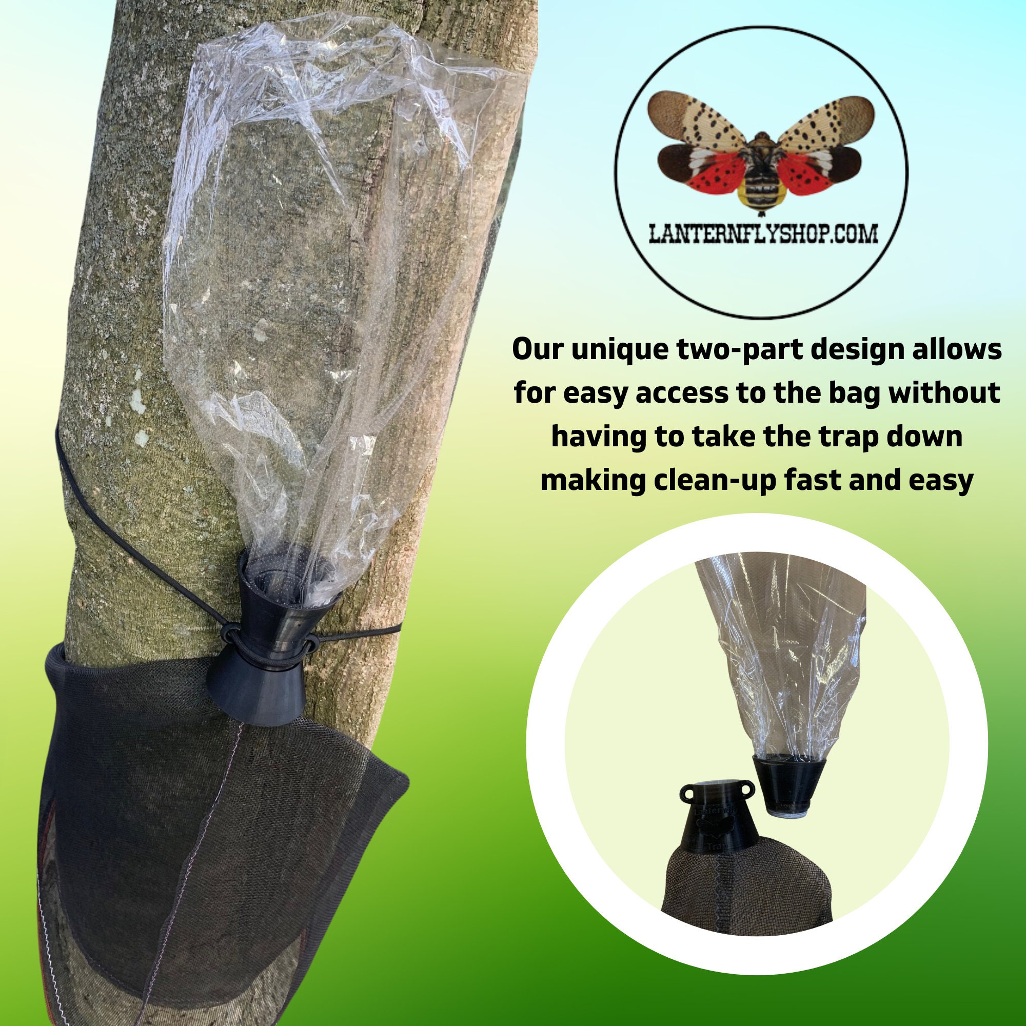 Spotted Lanternfly Trap Keep Your Garden Pest-free - Etsy