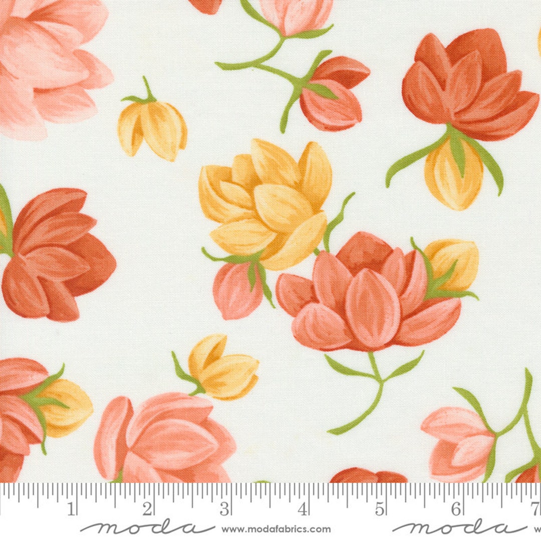 Kindred- Cloud- 36070 11- Moda Fabrics by 1 Canoe 2 - Etsy