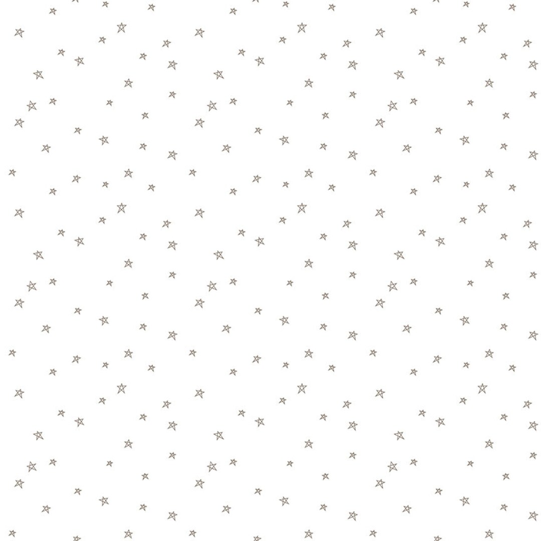 Bee Plaids star Pebble Riley Blake Designs by Lori Holt - Etsy