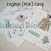 DIGITAL Rote Respiratory Anatomy Worksheets, Answer Keys Included set ...
