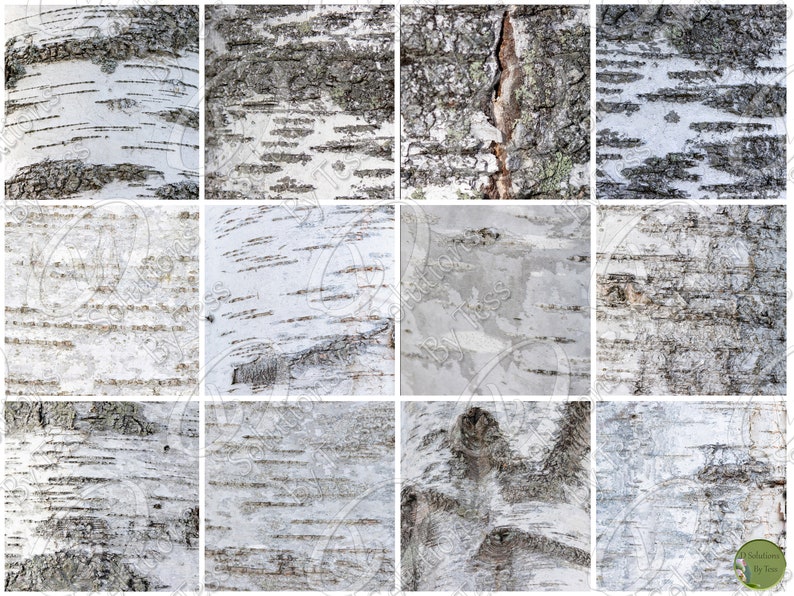 12 Natural Birch Bark Texture Digital Papers That Are All Different ...