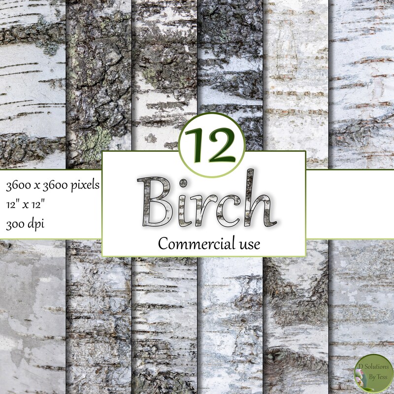 Birch Bark Paper - Etsy